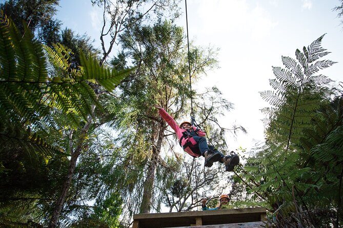 Adventurous Zipline Tour in Coromandel - The Sum Up