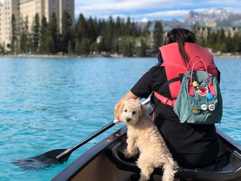 Affordable Banff, Lake Louise & Moraine Lake DayTrip Shuttle - Authentic Experiences from Reviews