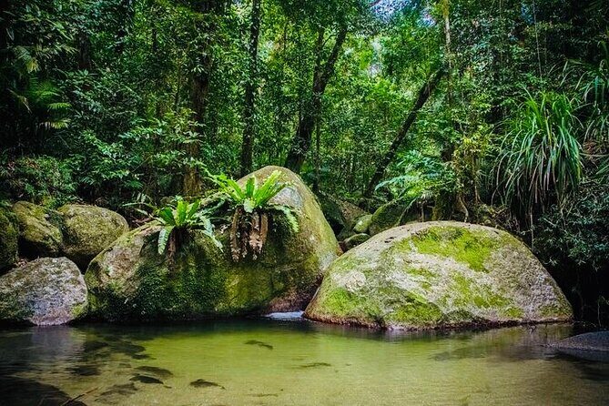 Affordable Return Mossman Gorge from Port Douglas Transfers - Why This Shuttle Stands Out
