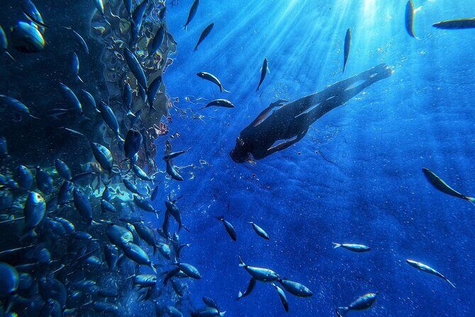 Afrikat Afternoon Cruise - Who Is This Tour Best For?