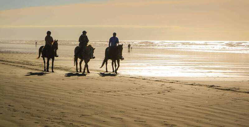 *Afro-Mex Village Horse Ride, Turtle Release Crocodile Farm - Authentic Experiences and Personal Touches