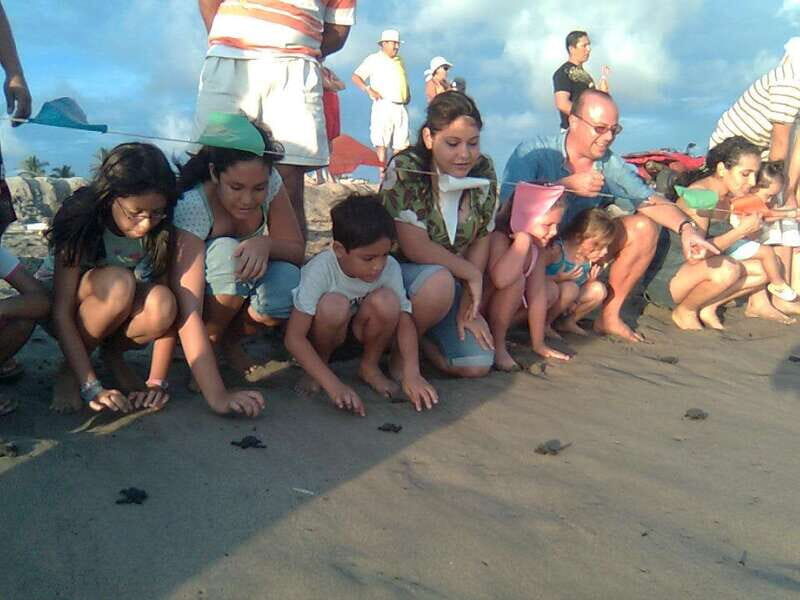 *Afro-Mex Village Horse Ride, Turtle Release Crocodile Farm - FAQs