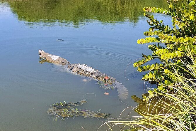 Afro-Mexican Village: Horseback Beach Ride, Crocs & Cliff Diver - FAQ