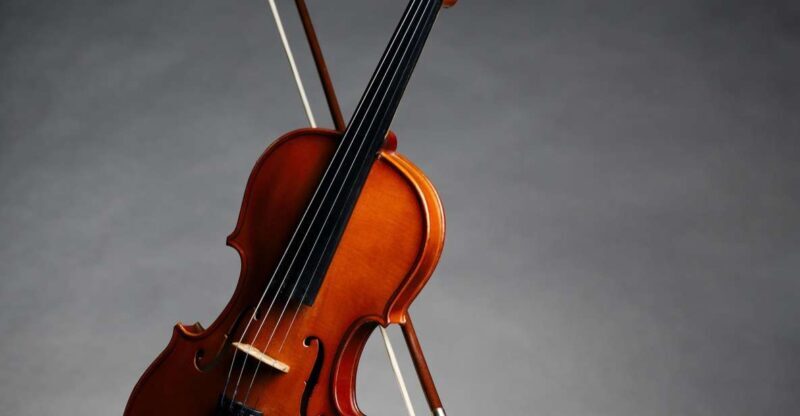 Afternoon Access to Accademia Gallery: David & Stradivarius - An In-Depth Look at the Tour Experience
