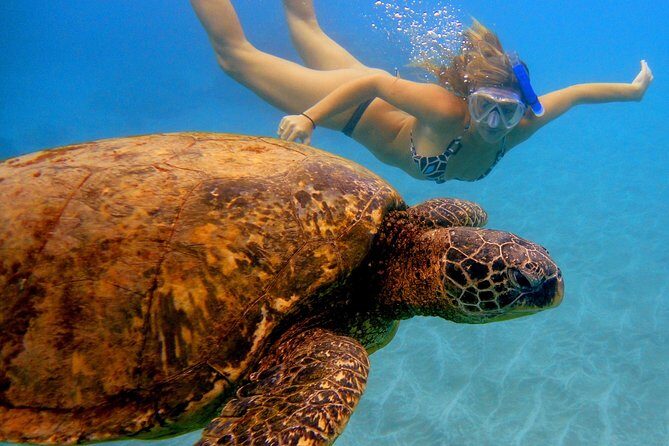 Afternoon Adventure Snorkel from Ka'anapali - A Closer Look at the Tour Experience