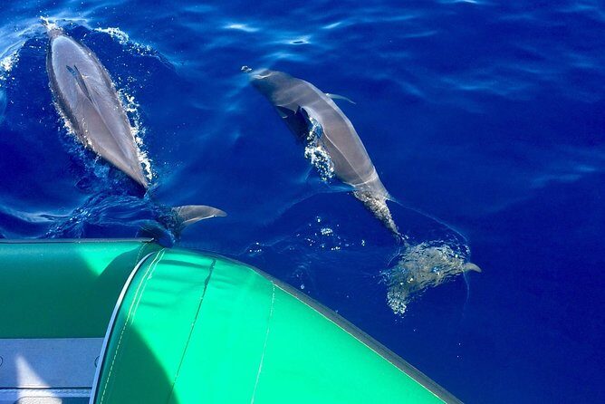 Afternoon Adventure Snorkel from Ka'anapali - Final Thoughts