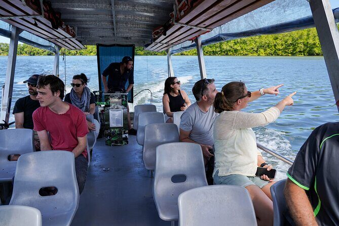 Afternoon Daintree Tour with River Cruise from Port Douglas - Key Points 