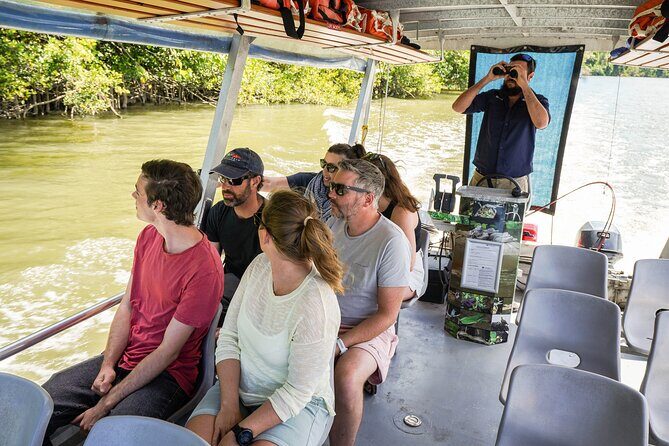 Afternoon Daintree Tour with River Cruise from Port Douglas - Highlights Based on Reviews