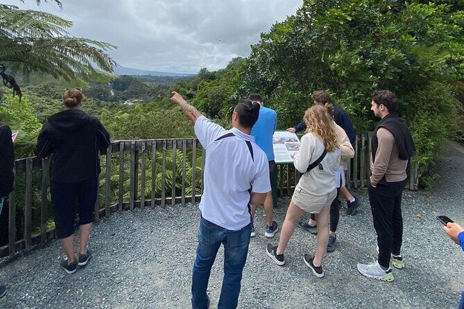 Afternoon Eco-Thermal Tour Explore Nature's Wonders - The Experience of Wai-O-Tapu and Waimangu