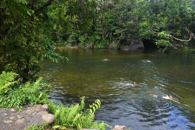 Afternoon & Evening Tour of Paronella Park - Who Will Love This Tour?