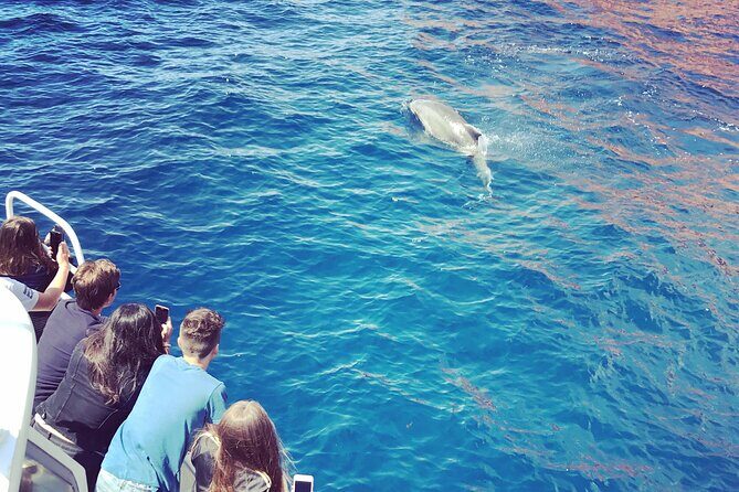 Afternoon in Scandola and creeks of Piana with stop in Girolata - The Itinerary in Detail: What You Can Expect