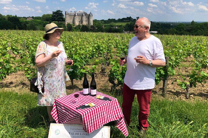 Afternoon Loire Valley Wine Tour from Tours or Amboise - What Makes This Tour Stand Out?