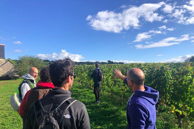 Afternoon Loire Valley Wine Tour from Tours or Amboise - Who Should Consider This Tour?