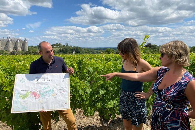 Afternoon Loire Valley Wine Tour from Tours or Amboise - The Sum Up