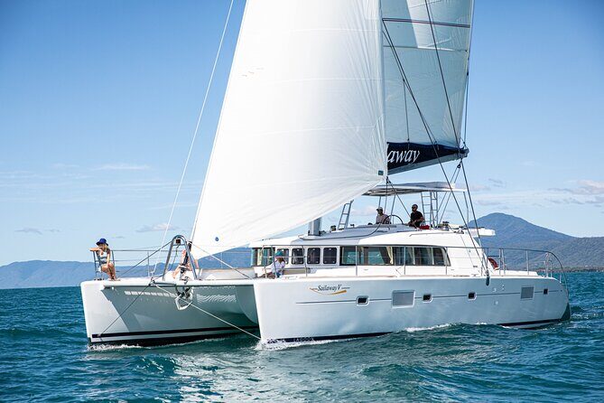 Afternoon Low Isles Snorkelling & Sunset Sail from Port Douglas - The Sum Up: Who Is This Tour Perfect For?