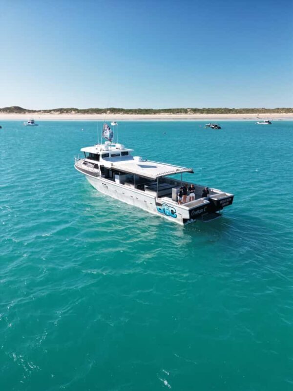 Afternoon Whale Watching Cruise in Broome - An In-Depth Look at the Broome Whale Watching Experience