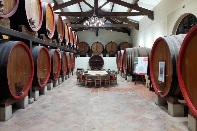 Afternoon Wine Tour to Chateauneuf du Pape from Avignon - Final Thoughts