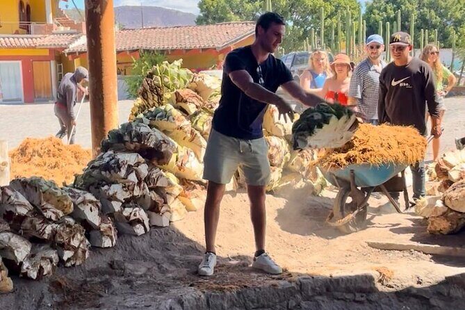 Agave Adventures Mexico - Authenticity & Guide: Why It Matters