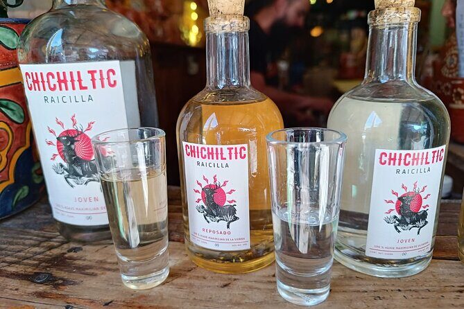 Agave drinks: Pulque, Raicilla, and Mezcal tasting in Guadalajara - Final Thoughts: Is This Tour Worth It?