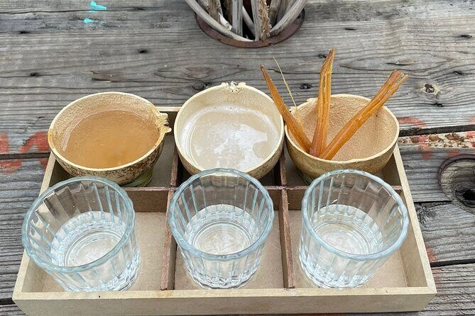Agave Tasting Journey from Pulque to Mezcal - Key Points