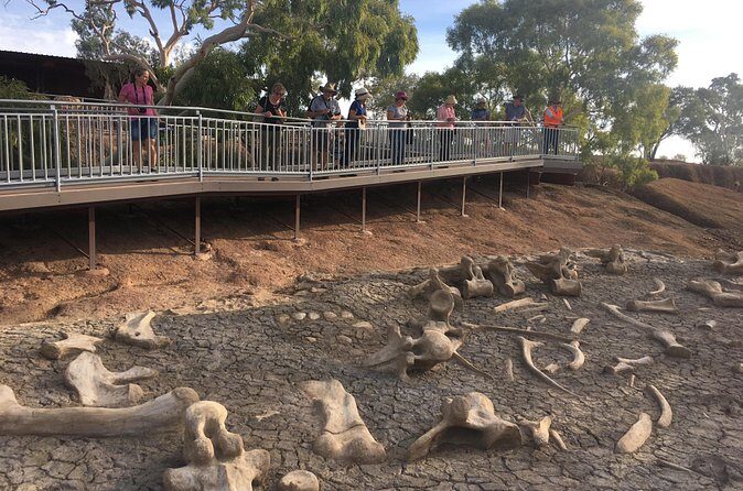 Age of Dinosaurs Museum Half Day Guided Transfer from Winton - Frequently Asked Questions