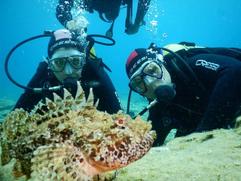 Agia Pelagia: Introduction to Scuba Diving (2 Dives) - What Makes This Tour Stand Out?