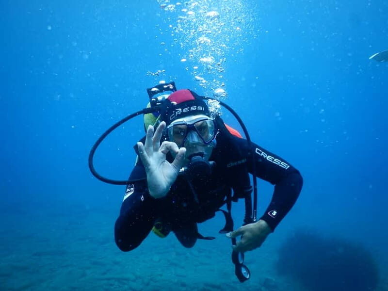 Agia Pelagia: Introduction to Scuba Diving (2 Dives) - Why the Price Offers Good Value