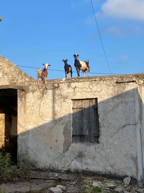 Agia Pelagia: Sunset or Morning Quad Tour & Ghost Town Visit - FAQ