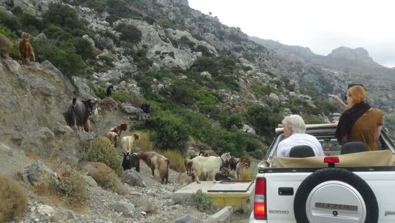 Agios Nikolaos: Thripti Mountain Villages Jeep Tour w/Lunch - Authentic Village Experiences