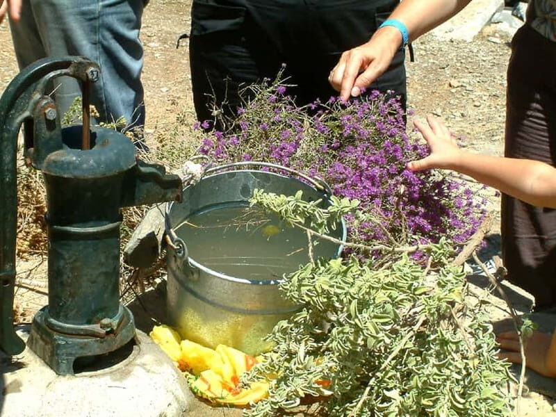 Agios Nikolaos: Thripti Mountain Villages Jeep Tour w/Lunch - Enjoying Greek Cuisine in a Traditional Taverna