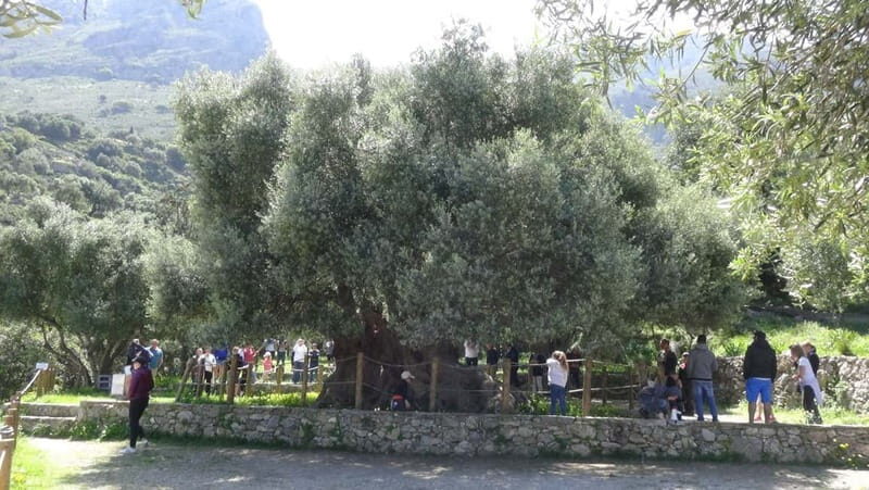 Agios Nikolaos: Thripti Mountain Villages Jeep Tour w/Lunch - Summing Up: Is It Worth It?