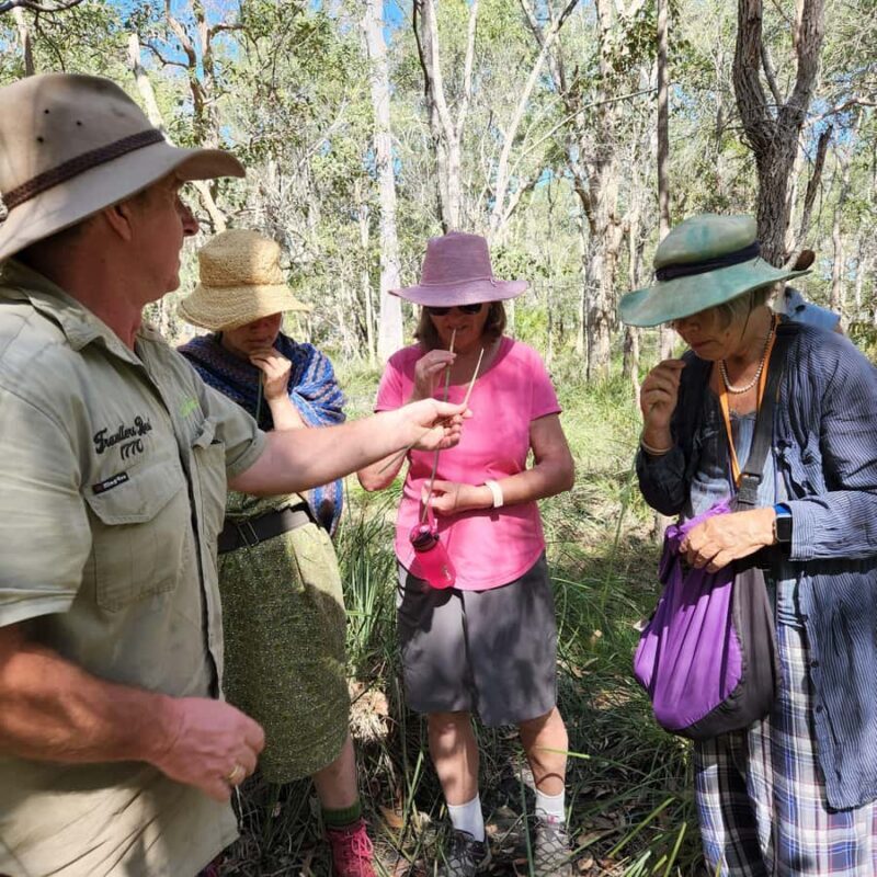 Agnes Water: BushTracks Eco Tour with local guide - Key Points