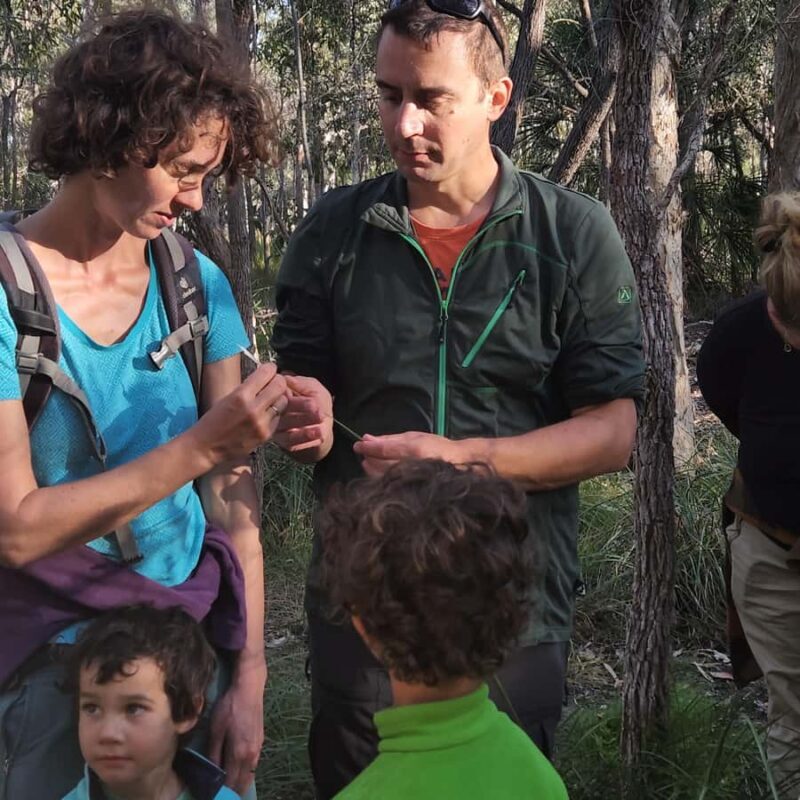 Agnes Water: BushTracks Eco Tour with local guide - FAQs