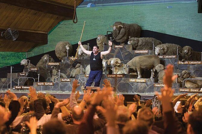 Agrodome Farm Experience including Farm Show and Farm Tour - Rotorua - Introduction