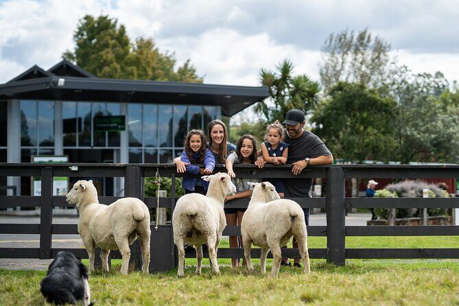 Agrodome Farm Experience including Farm Show and Farm Tour - Rotorua - Value for Money and Practical Tips