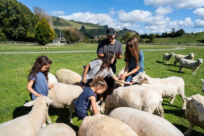 Agrodome Farm Experience including Farm Show and Farm Tour - Rotorua - Who Is This Tour Best For?