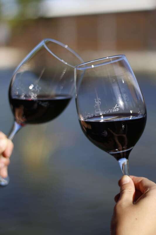 Aguascalientes: Enotourism Tour - Practical Details: Transport, Group Size, and Duration