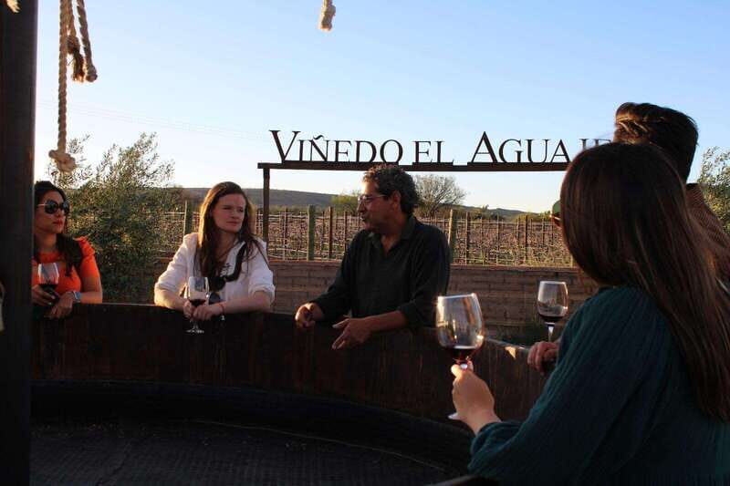 Aguascalientes: Magical Town and Winery Tour - An In-Depth Look at the Aguascalientes: Magical Town and Winery Tour