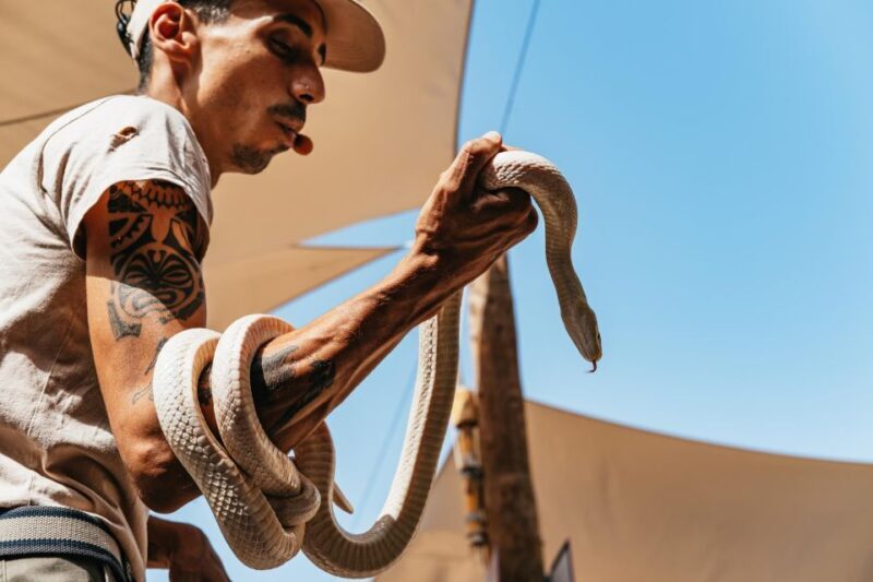 Agüimes: Cocodrilo Park Zoo Entry Ticket - Practical Details for Your Visit