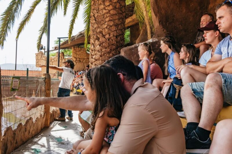 Agüimes: Cocodrilo Park Zoo Entry Ticket - Summary: Who Will Love Cocodrilo Park?