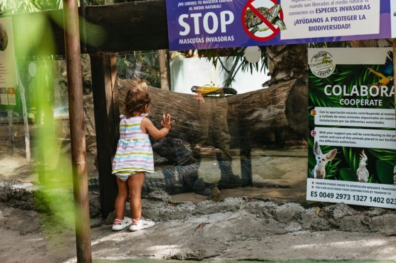 Agüimes: Cocodrilo Park Zoo Entry Ticket - FAQ