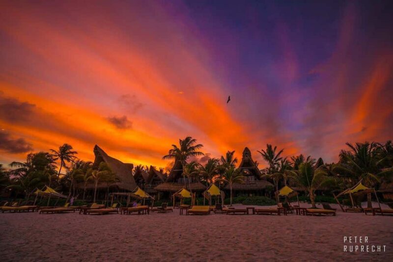 Ahau de Noche: Dinner under the stars and iconic art in Tulum - An Overview of Ahau de Noche