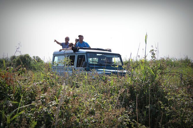 Aigues Mortes: 4x4 photo safari in the Camargue - Final Thoughts: Is This the Camargue Experience for You?