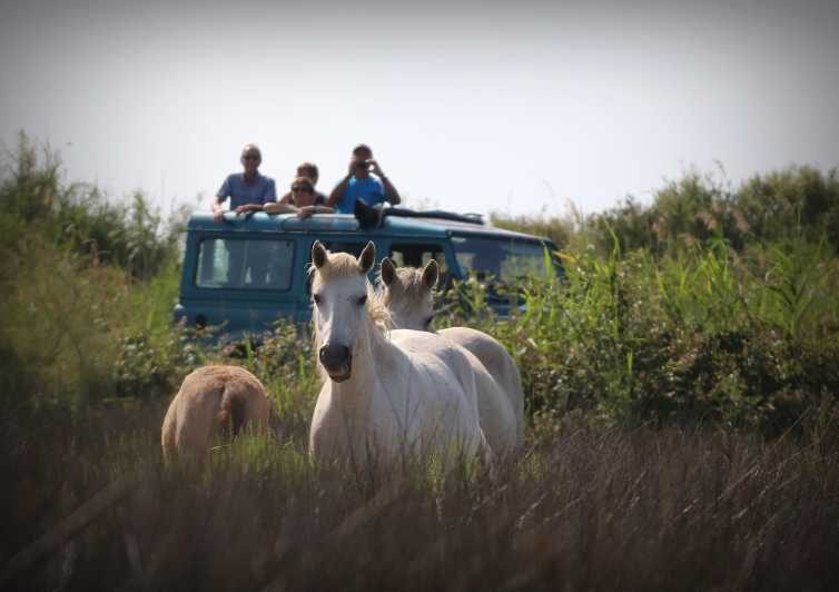 Aigues Mortes: Jeep Photo Safari in Camargue - Introduction