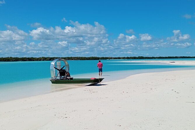 Airboat Adventure - What You Can Expect from the Airboat Adventure