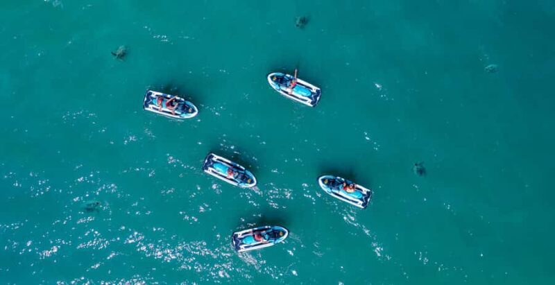 Airlie Beach: Airlie Adventure Jet Ski Tour - The Practical Details