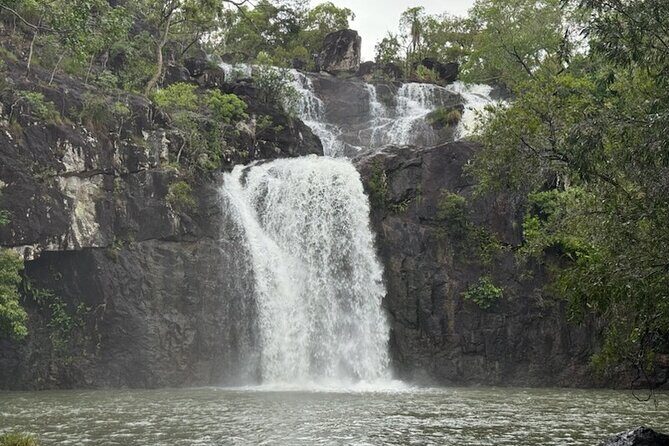 Airlie Beach: Cedar Creek Express (cruise ship friendly) - An Introduction to the Cedar Creek Express Experience