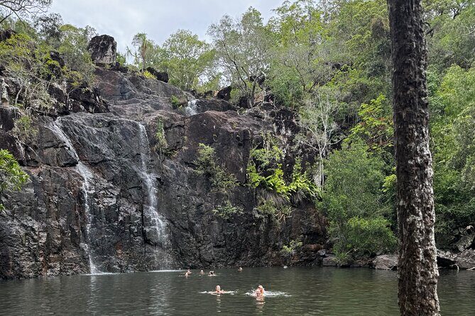 Airlie Beach: Cedar Creek Express (cruise ship friendly) - The Sum Up