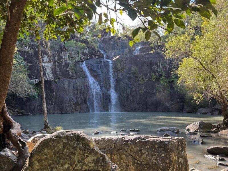 Airlie Beach: Cedar Creek Express Eco Tour - What You Can Expect from the Cedar Creek Eco Tour
