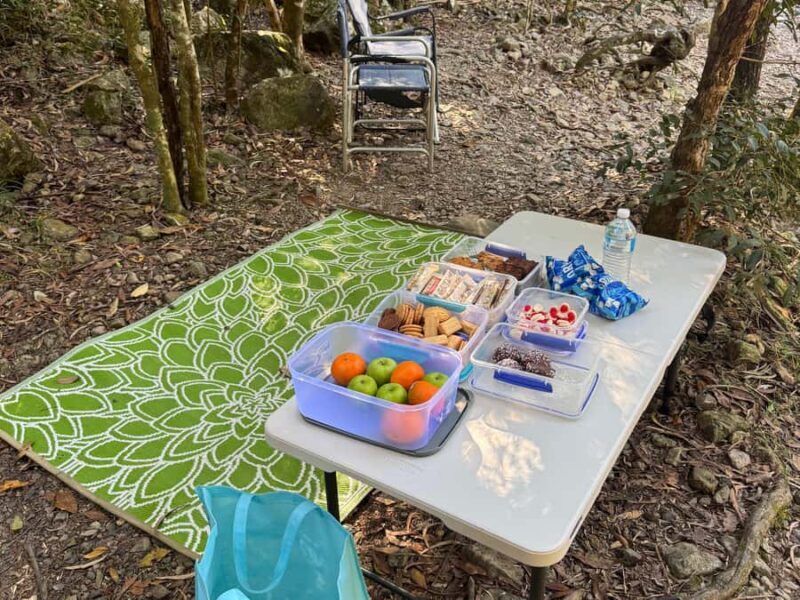 Airlie Beach: Cedar Creek Express Eco Tour - The Value of the Cedar Creek Eco Tour